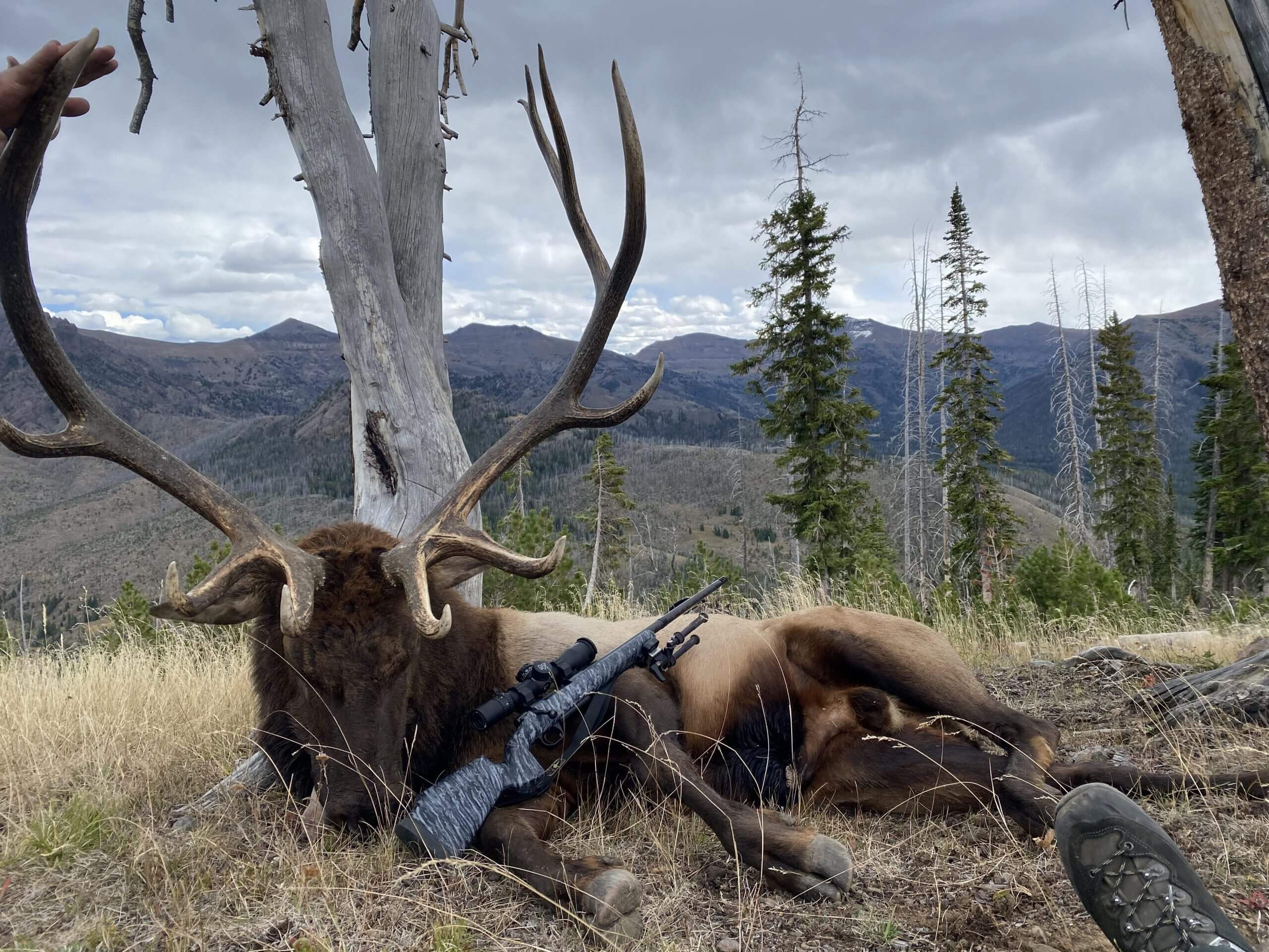 Hunting Gallery - Walls Rifles | Custom Hunting & Tactical Rifles